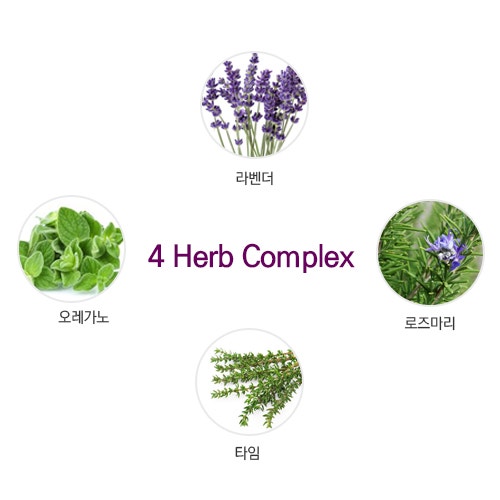 특허받은 4종 허브 콤플렉스 성분이 피부를 건강하고 팽팽하게! : 네이버 블로그