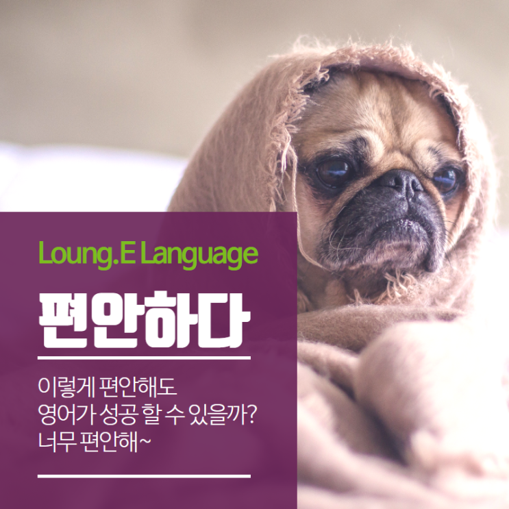 영어회화 편안하게 완성하기 라운지 이 랭귀지 강남 신사 가로수길 압구정 직장인 대학생 영어회화 네이버 블로그