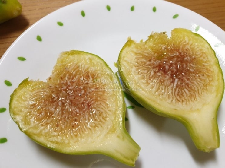 Desert king은 breba 전용품종인가 : 네이버 블로그