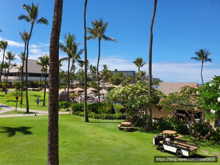 [하와이 마우이/쉐라톤 마우이 리조트&스파] 쉐라톤 후기 & The Cliff Dive Bar 맥주 #나초맛집 #고프로 #신혼 ...