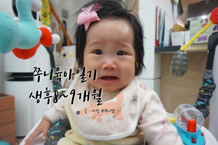 쭈니 육아일기 생후8~9개월 아기 발달 상황분유량 줄음피부낮잠밤잠수면시간대변중기이유식 네이버 블로그