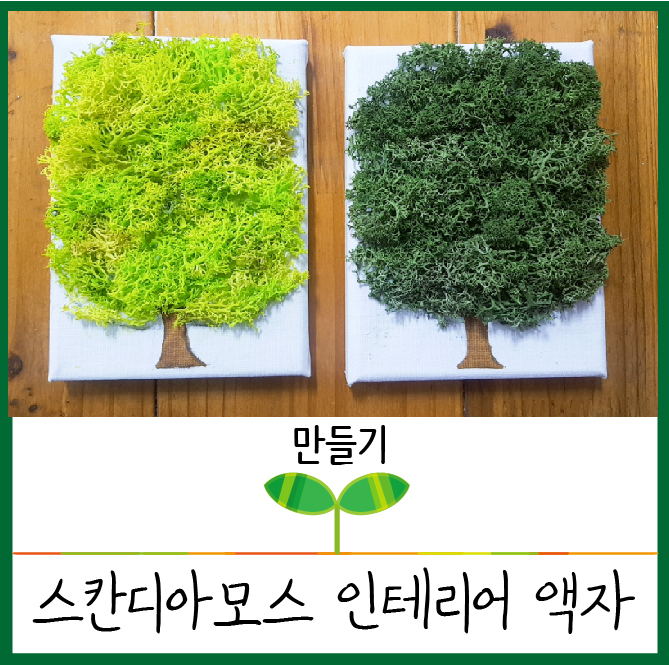북유럽 스칸디아모스 인테리어 액자 만들기 공기정화 인테리어 장식 효과 네이버 블로그