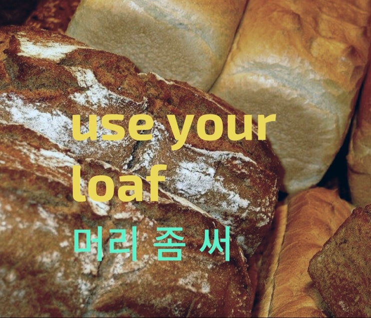 use your loaf/ 머리 좀 써 : 네이버 블로그