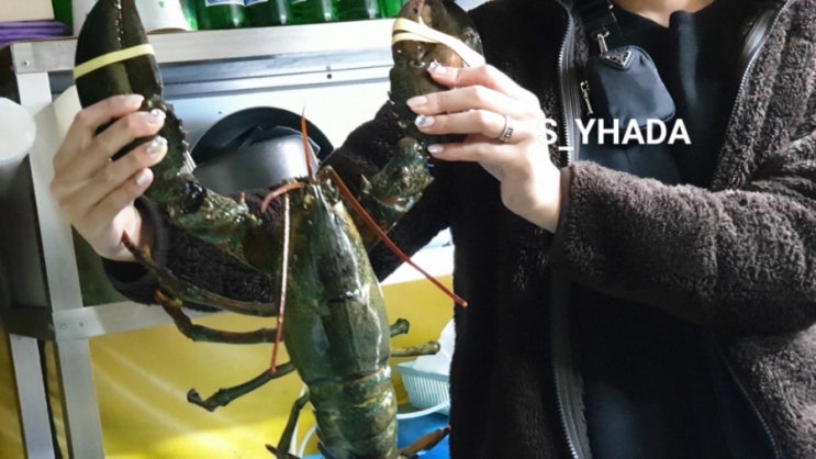 해운대포장마차촌 부산맛집 랍스터포차에서 랍스타코스 찐추천 네이버 블로그