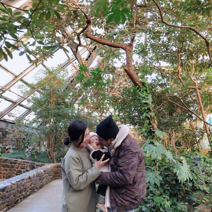 아이와 함께 서울 근교 당일치기로 가기 좋은 포천 국립수목원광릉숲 고모리 카페온다 네이버 블로그