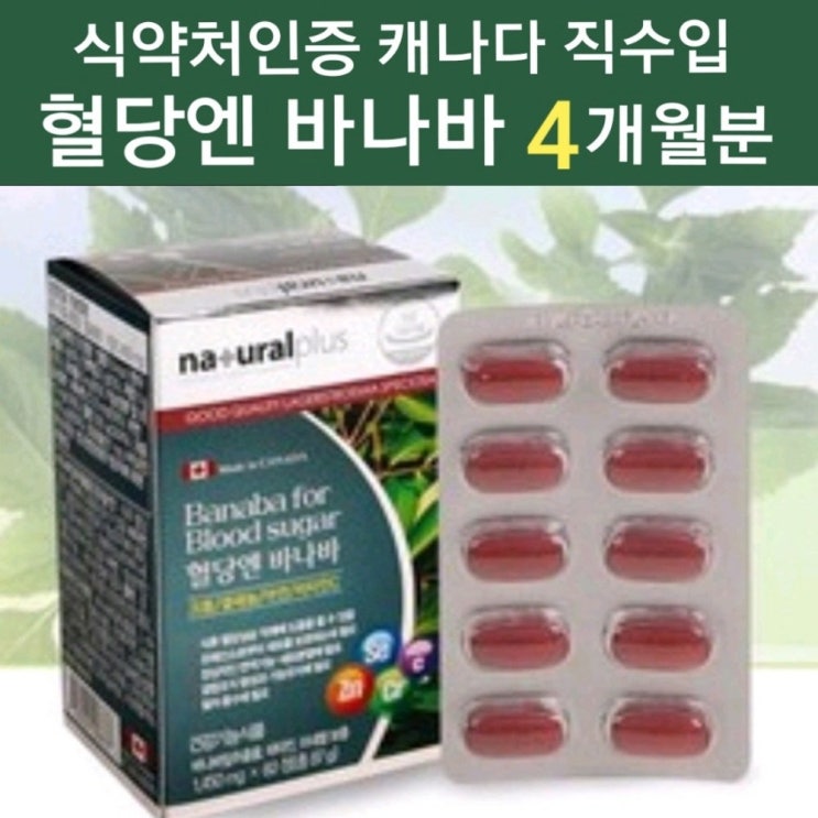 특가 네추럴플러스 바나바 잎 추출물 분말 가루 캡슐 혈당 조절 관리 당케어 영양제 보조제 혈당엔 네이버 블로그