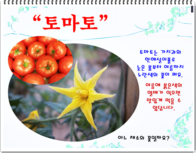 텃밭에 꽃이 피었어요 채소꽃음성녹음 이야기나누기상호작용음성해설텃밭프로젝트채소프로젝트꽃프로젝트식물프로젝트자연 네이버 블로그