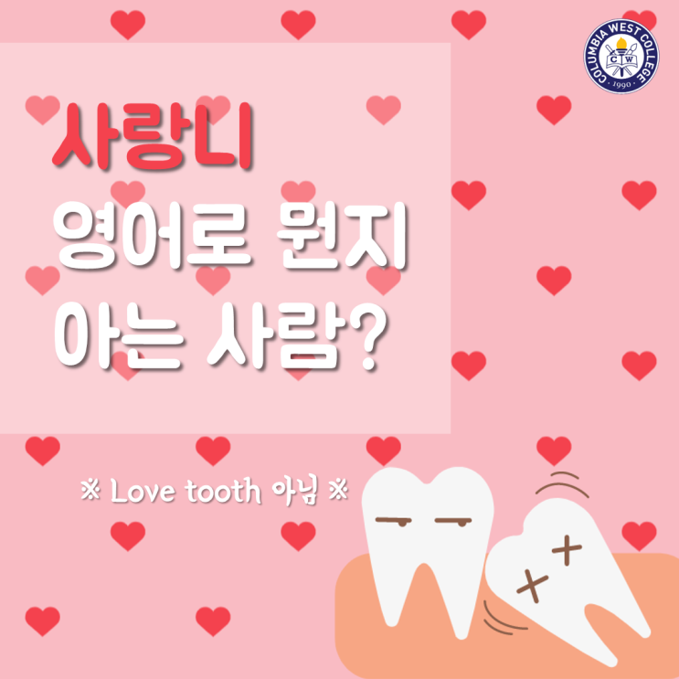[영어회화] 사랑니 영어로 뭐지? Love tooth?/ 은근 모르는 영어 단어! : 네이버 블로그