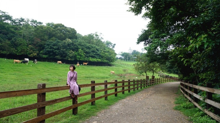 저 푸른 초원 위에[19/5/26~27] : 네이버 블로그