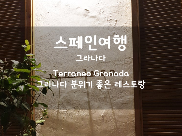 스페인여행:) 그라나다 핵추천 로컬 맛집 TERRANEO GRANADA #24 : 네이버 블로그