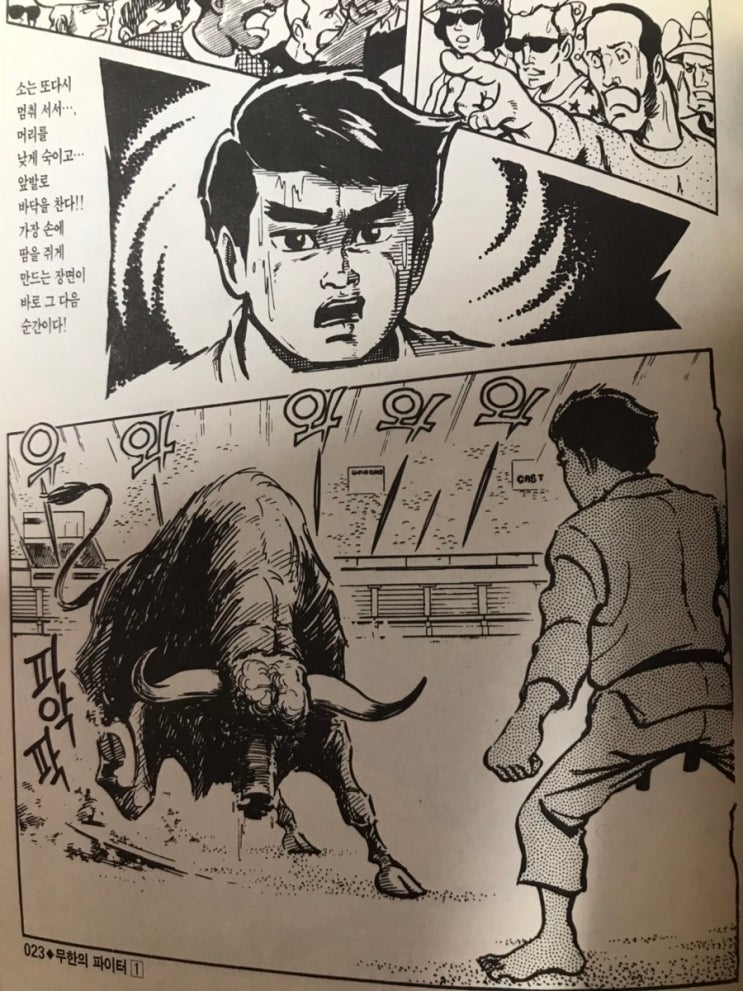 극진공수도 도봉도장 만화 속 실존 인물이 주인공인 무술이 있다 극진가라데 창시자일본명 공수 바보 1대 최영의의