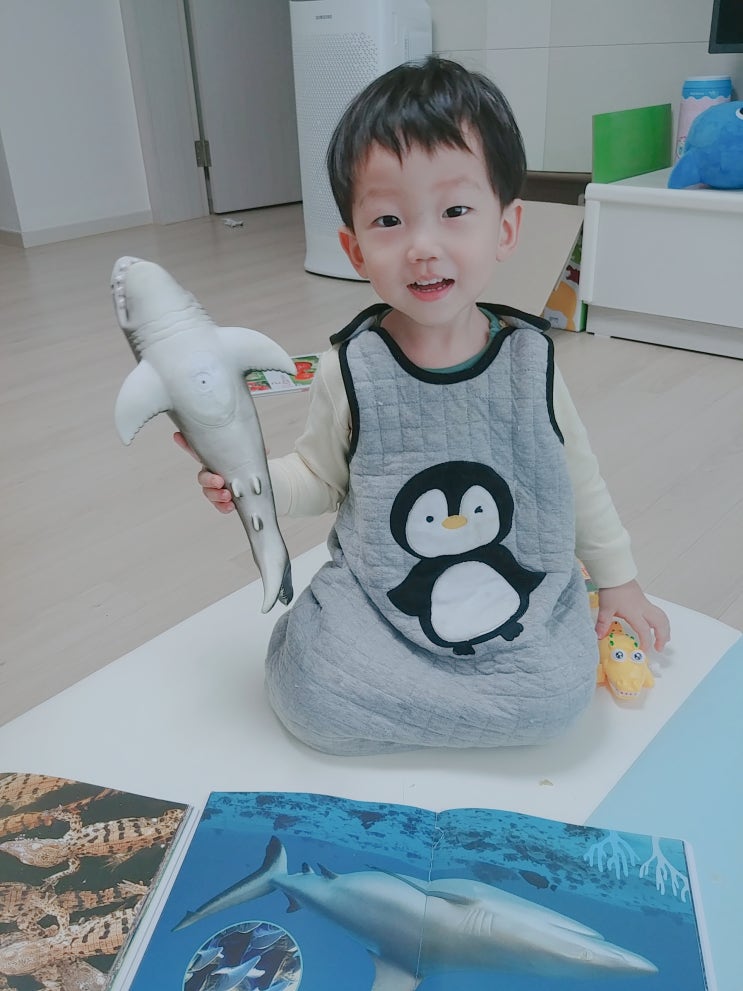 27개월 아기 변비 탈출한 후기 Ft드시모네 키즈 프리미엄 유산균 네이버 블로그