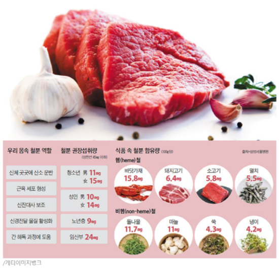 철鐵들어야 건강한데 세계 인구 25 철분 부족 네이버 블로그