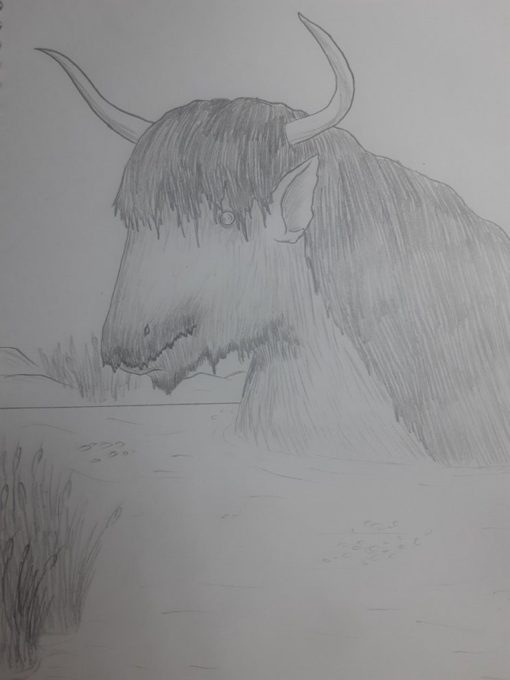 타르브으시커[Tarbh-uisge] : 네이버 블로그