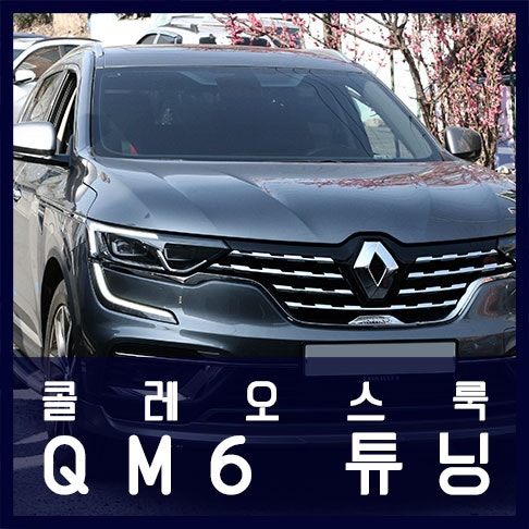 천안 KOLEOS 콜레오스 르노룩 / QM6 튜닝 : 네이버 블로그