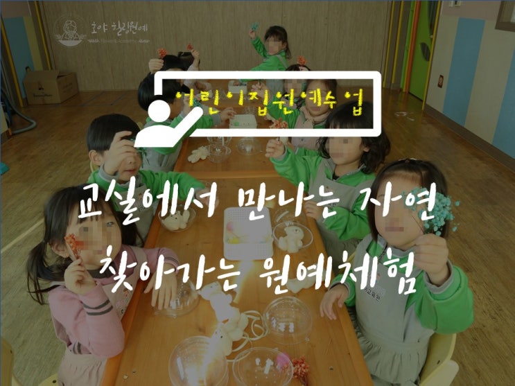 찾아가는 원예체험 어린이집유치원학교 교실에서 만나는 자연충주원예수업키즈힐링원예 호야교육원아동원예교육심리상담사