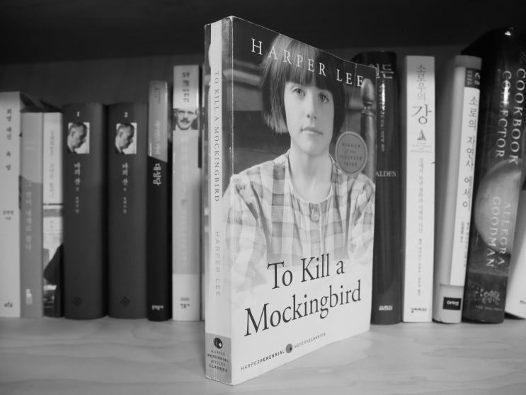 [원서 통독] 앵무새 죽이기 / To Kill a Mockingbird Ch. 1 : 네이버 블로그