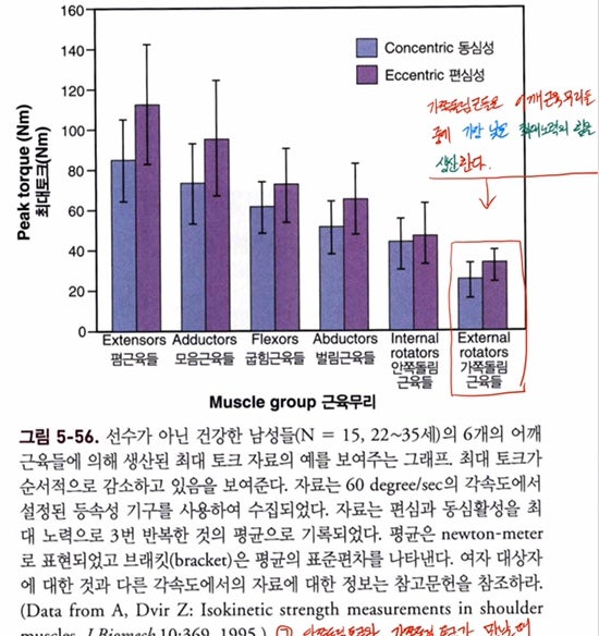 뉴만어깨 복합체어깨관절을 안쪽돌림과 가쪽돌림시키는 근육들 네이버 블로그