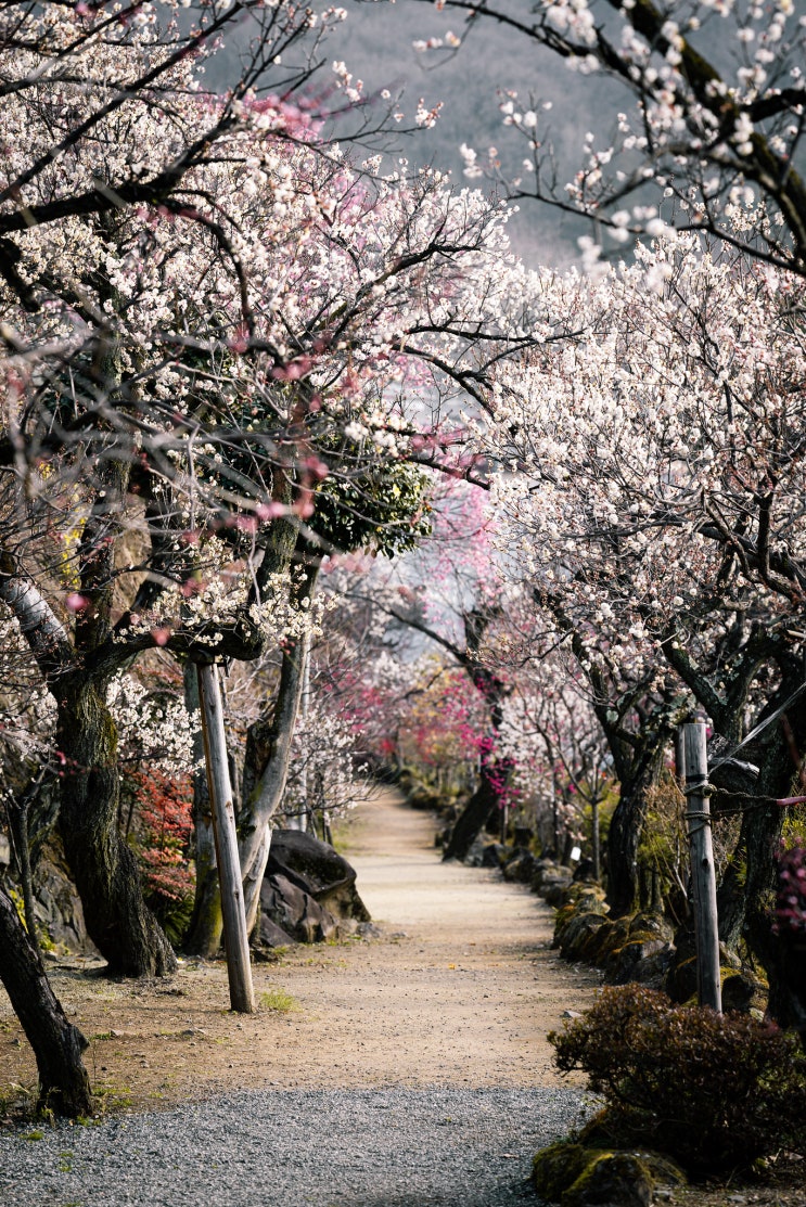 인디언 도덕경(Native American Code of Ethics) : 네이버 블로그