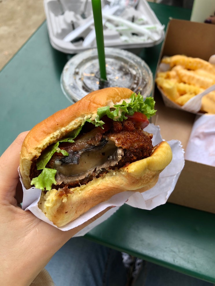 여행리뷰 뉴욕여행 5일차 매디슨 스퀘어 공원 쉐이크쉑 본점 뉴어크 리버티 국제공항 Country Inn And Suite
