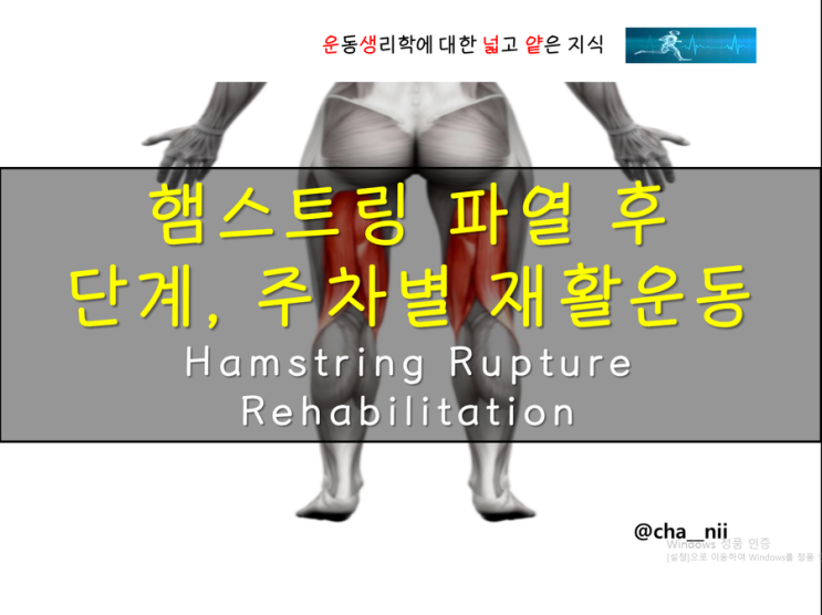 햄스트링 파열 재건 수술 후 주차,단계별 재활운동 - Hamstring rupture Rehabilitation : 네이버 블로그