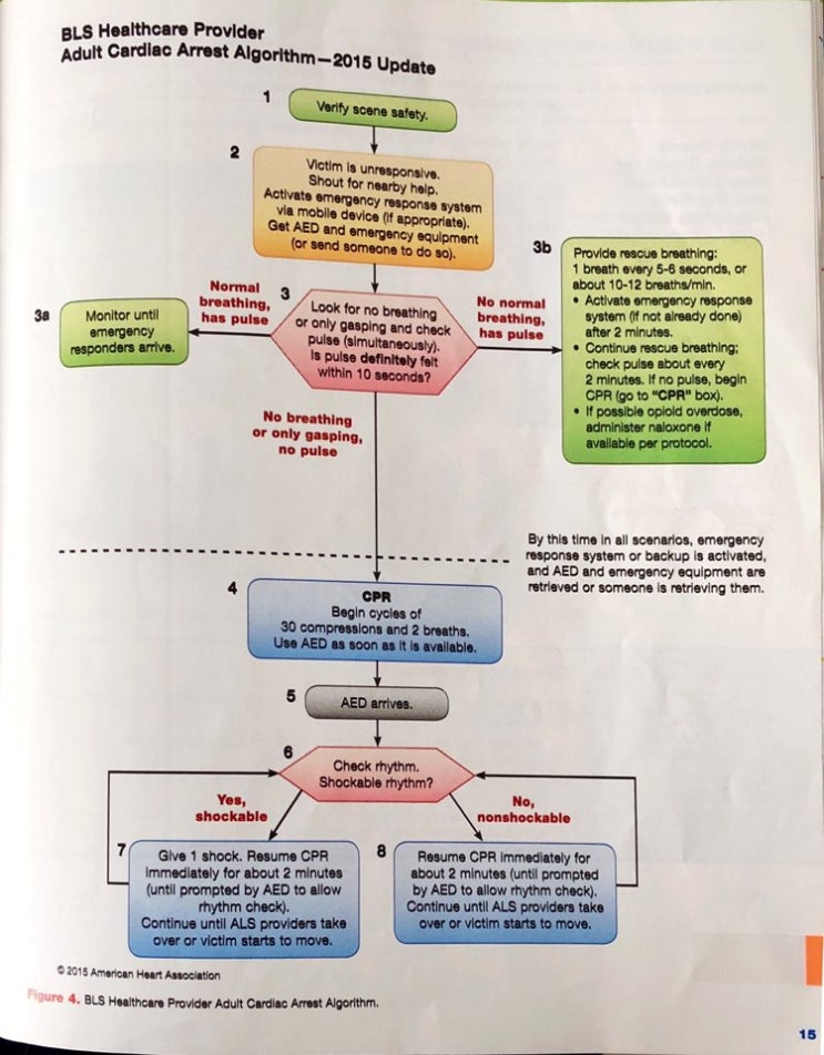 AHA BLS Provider(2015) 공부하기 : 네이버 블로그