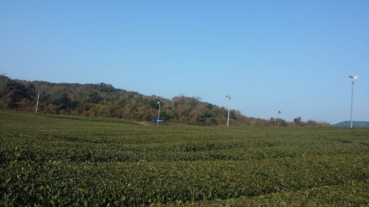 도산사실이 확인된 병원에 근무했던 근로자의 체당금지급사유 확인 및 체당금지급청구에 대한 체당금지급사유 확인불가통지 네이버 블로그