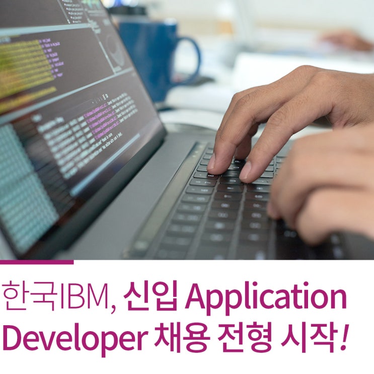 한국IBM, 신입 Application Developer 채용 전형 시작! : 네이버 블로그