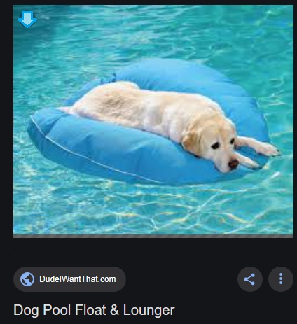 [자유 연구] 코로나 19 만큼 무서운 것이 인터넷 트롤이다! (vitriolic troll) : 네이버 블로그