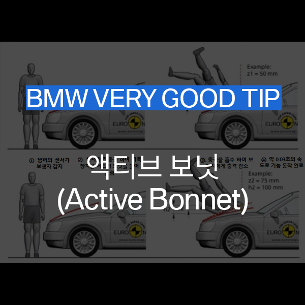 액티브 보닛(Active Bonnet) : 네이버 블로그