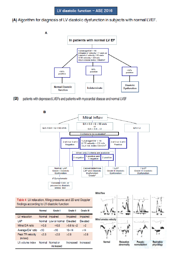 LV diastolic function : 네이버 블로그