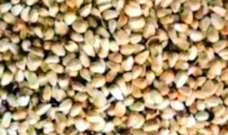 뼈골절음식 알아보고 챙겨요 : 네이버 블로그