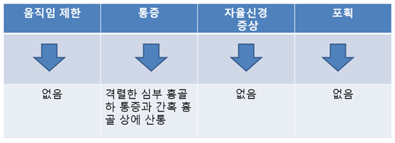 흉근 (Sternalis Muscle)의 생역학적 이해 : 네이버 블로그