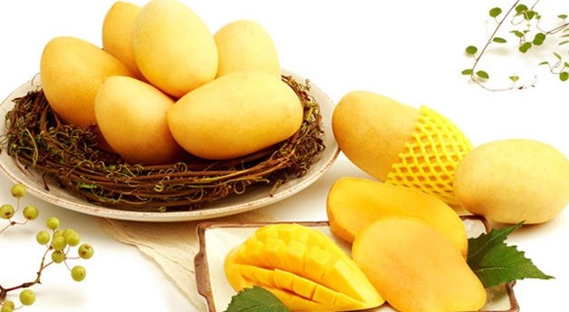 [정한관세사무소] 열대과일 망고(MANGO) HS CODE 및 관세율은? : 네이버 블로그