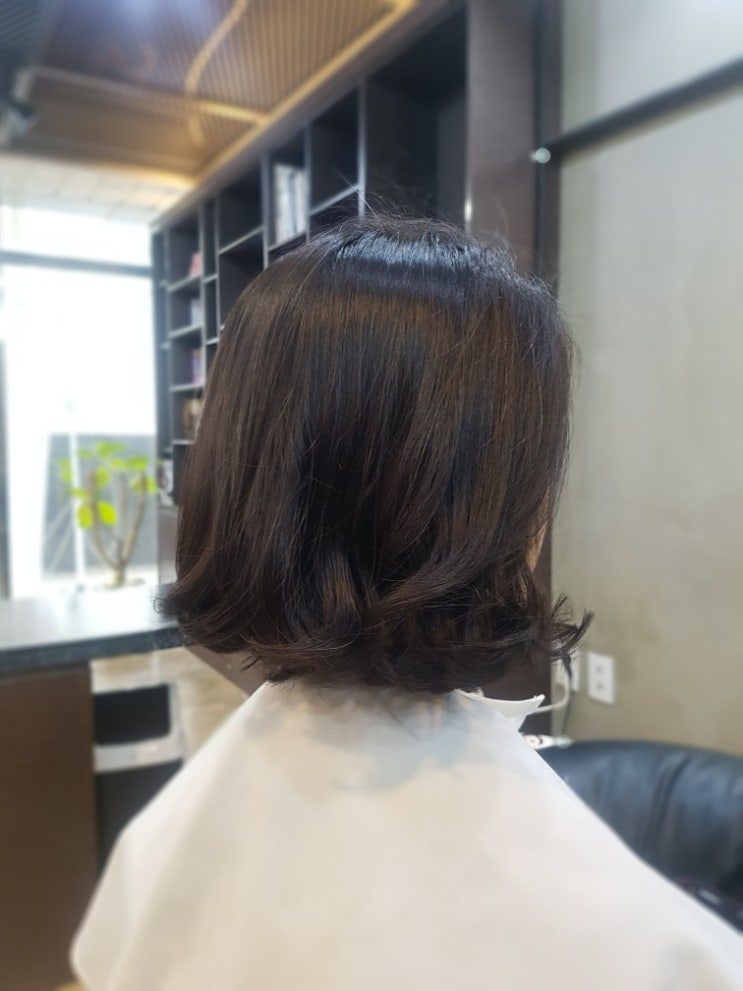 정읍커트잘하는미용실정읍염색잘하는미용실정읍더담헤어정읍펌잘하는미용실정읍미용실정읍머리잘하는미용실정읍미용실승원원장단발