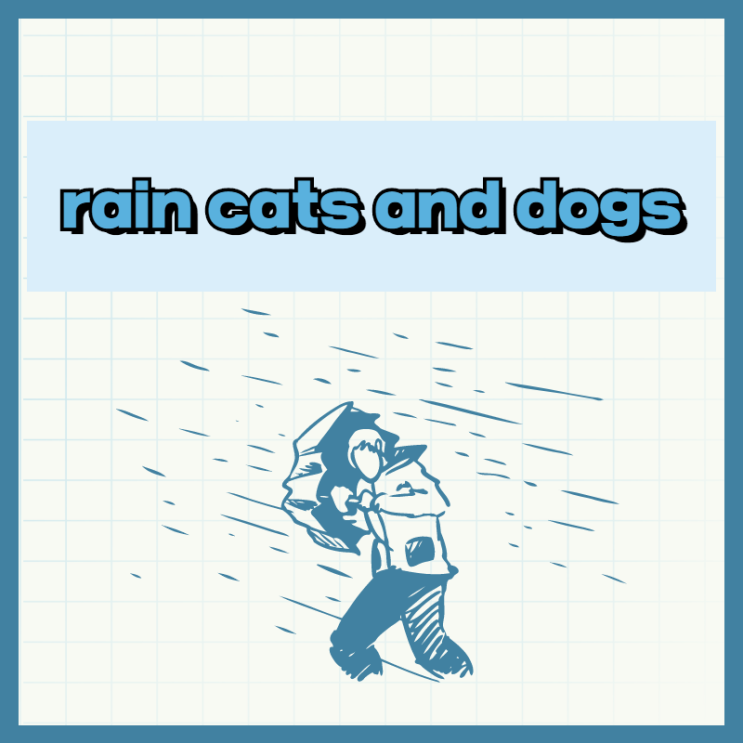 "rain cats and dogs"은 언제 어떻게 쓸 수 있는 표현일까? : 네이버 블로그