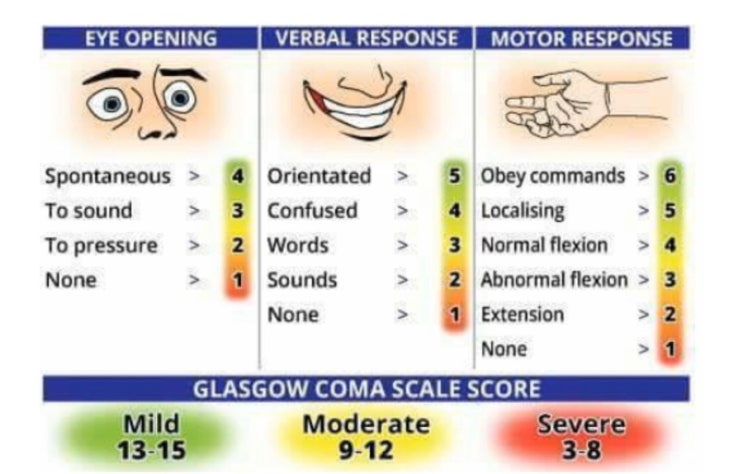 의식 사정(mental state; GCS, LOC), 동공 사정(동공반사), 건반사, 운동기능 사정(motor grade ...