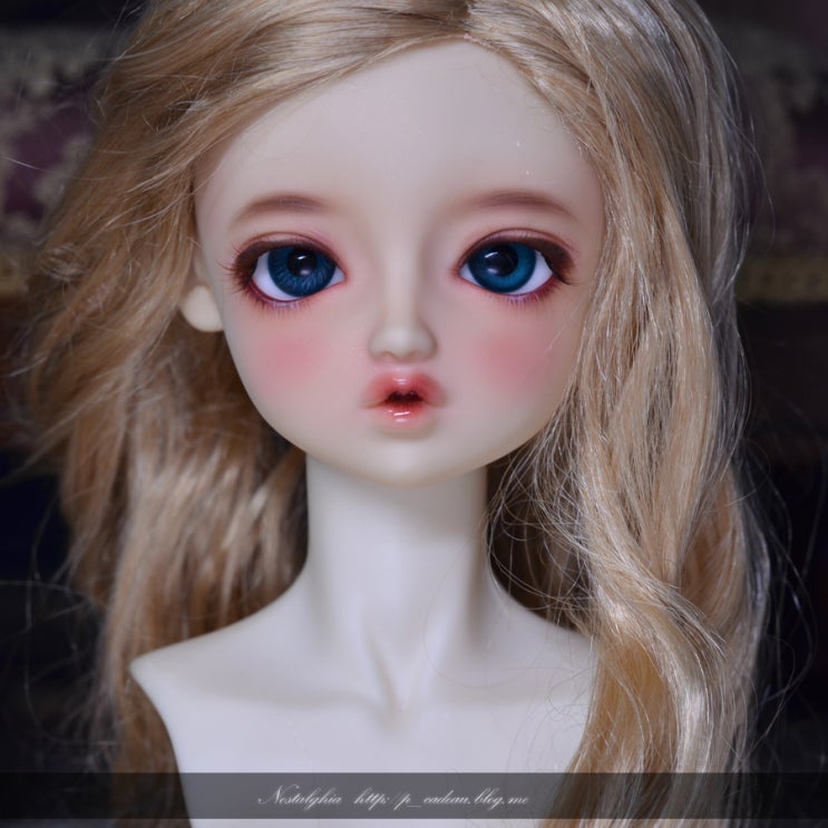 보크스 루나 [ VOLKS LUNA ] : 네이버 블로그