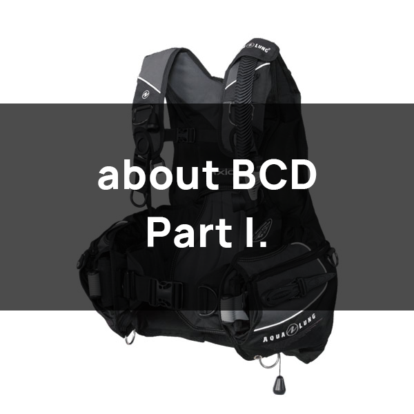 BCD의 종류와 특징 1. 자켓 BCD : 네이버 블로그