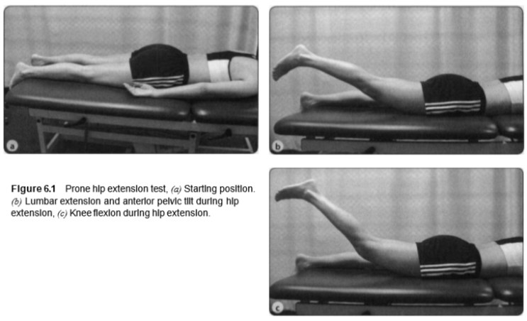 [Janda Approach] 얀다의 움직임 패턴 평가 - 1. 고관절 신전 검사 Hip Extension Test : 네이버 블로그