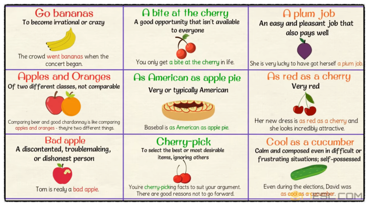 FRUIT IDIOMS과일 영어표현1.go banana무엇에 미치다/a bite at the cherry좋은 기회/a plum ...