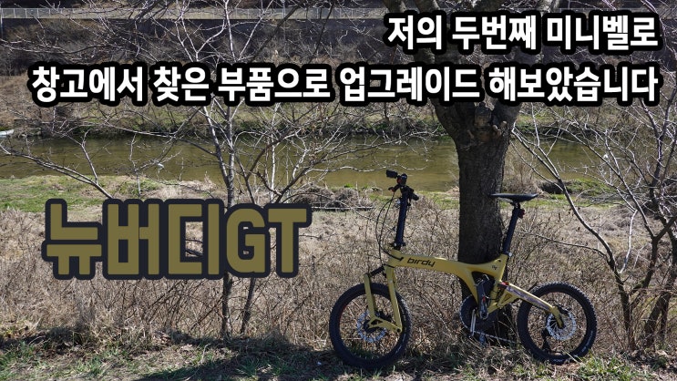 Birdy GT 버디 GT 미니벨로를 소개합니다. : 네이버 블로그