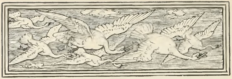 [40. 여섯마리 백조(The Six-Swans)] 그림형제의 가정이야기(Household stories from the ...