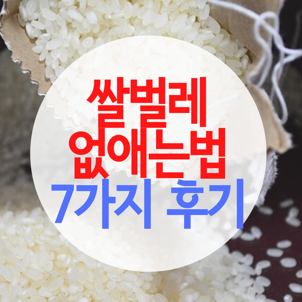 쌀벌레 없애는법, 7가지 직접 해본 쌀보관법 후기 : 네이버 블로그