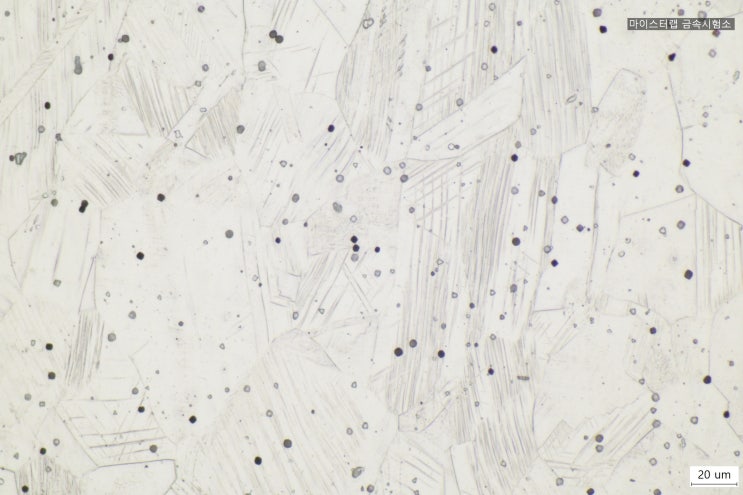 A262 method A - End grain pitting I 조직사진 : 네이버 블로그