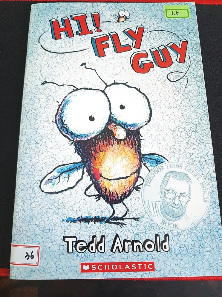Fly guy(플라이가이) 시리즈- Hi!! Fly Guy : 네이버 블로그