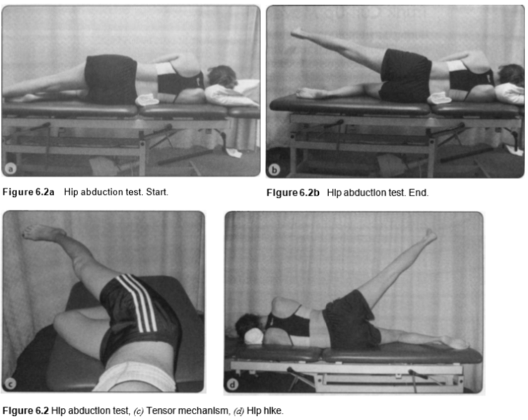 [Janda Approach] 얀다의 움직임 패턴 평가 - 2. 고관절 외전 검사 Hip Abduction Test : 네이버 블로그