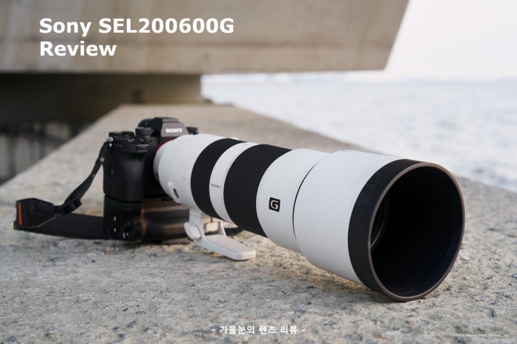 소니 초망원줌렌즈 SEL200600G 리뷰│200mm부터 600mm 전 구간의 높은 해상력과 빠른 AF로 초망원의 새로운 사진을 ...