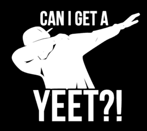 [YEET] 혜성처럼 등장한 그 Slang, 도대체 무슨 뜻이에요? : 네이버 블로그