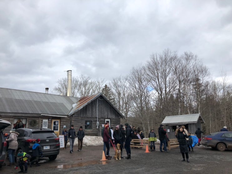 캐나다 노바스코샤주 메이플시럽 투어, 슈가문팜Sugar Moon Farm : 네이버 블로그